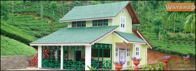 Meenmutty Heights Resort - holiday resort in wayanad, Kerala, India.